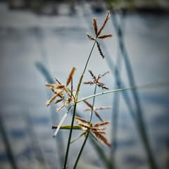 Vadodara_Click_Studio (@vadodara_click_studio) — Live Instagram ...